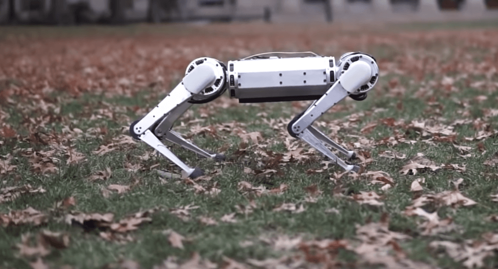 MIT Has Built A New Cat-like Robot and It Can Do Blackflips