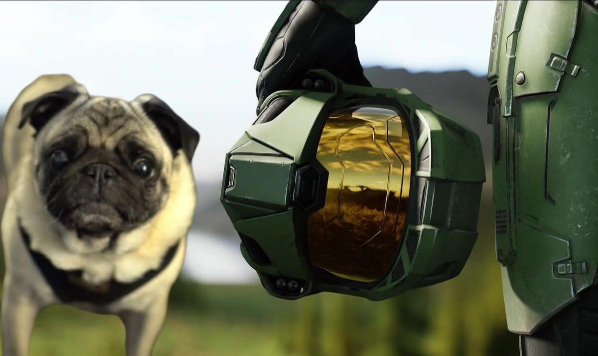 Halo Infinite’s New Alien Race, Voiced by the Adorable Gyoza the Pug