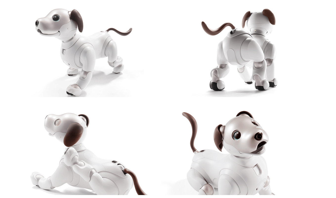 Sony's Aibo Robot Dog Can Learn New Tricks Directly From the Owner