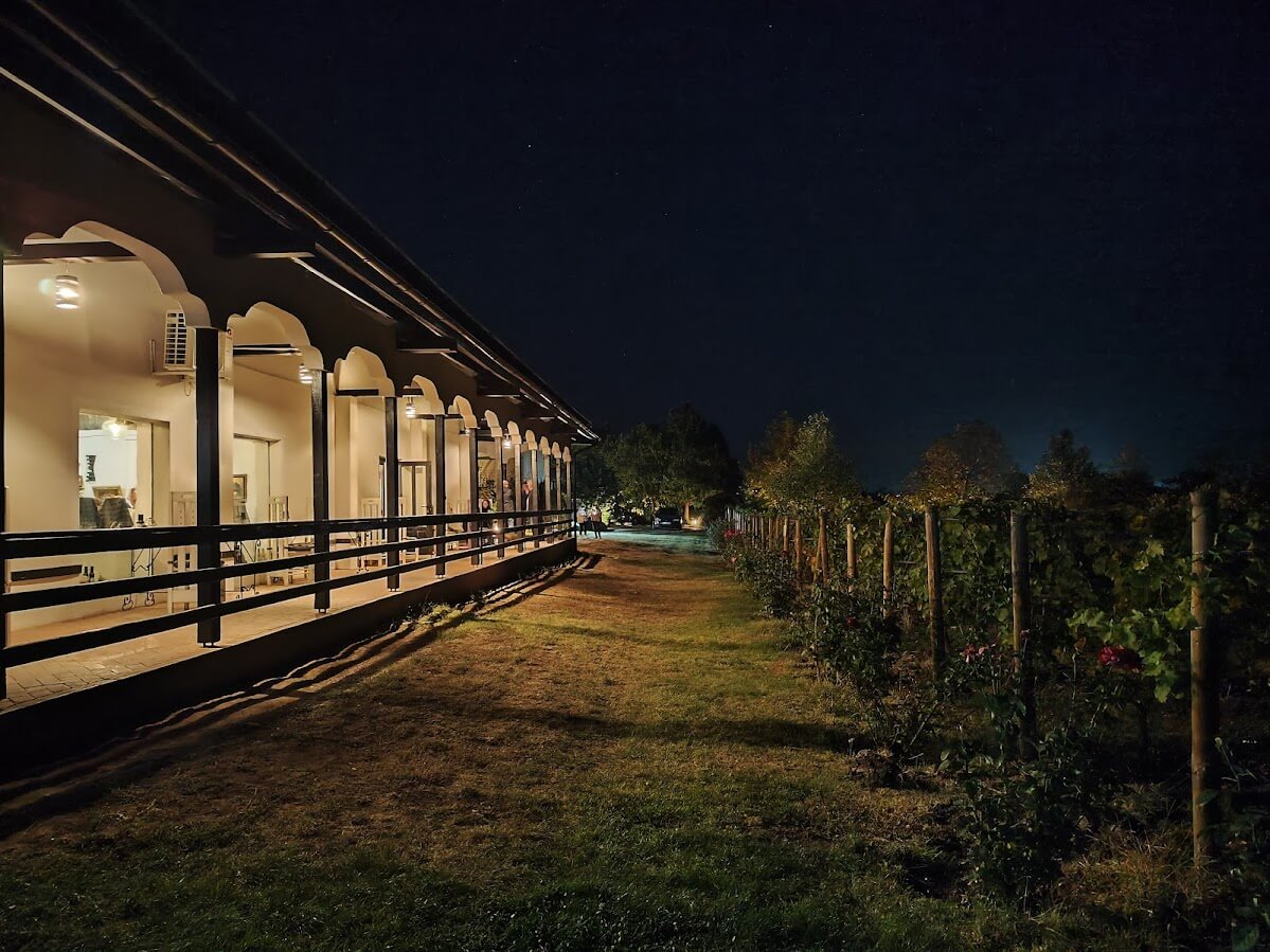 Xiaomi Mi 12T Pro Review: Top Camera & Specs with An Affordable Price Tag