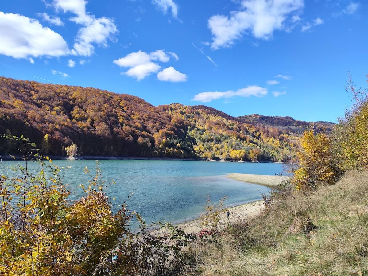 Xiaomi Mi 12T Pro Review: Top Camera & Specs with An Affordable Price Tag