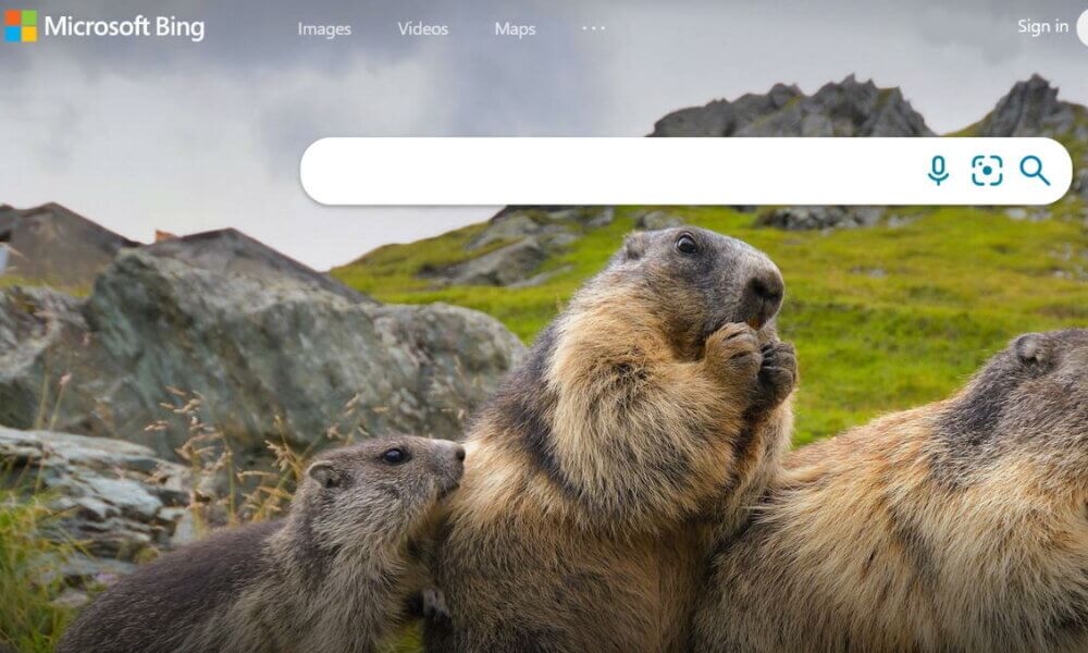 As ChatGPT Gets Paid Subscription, Microsoft Plans to Add Faster ...