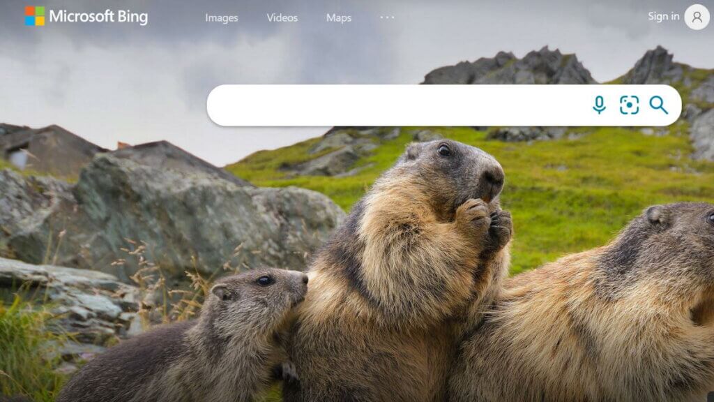 As ChatGPT Gets Paid Subscription, Microsoft Plans to Add Faster ...