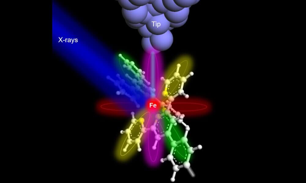 World’s First: In Incredible Breakthrough, Scientists Managed to X-Ray ...